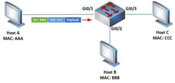 How Does a Network Switch Learn MAC Addresses?
